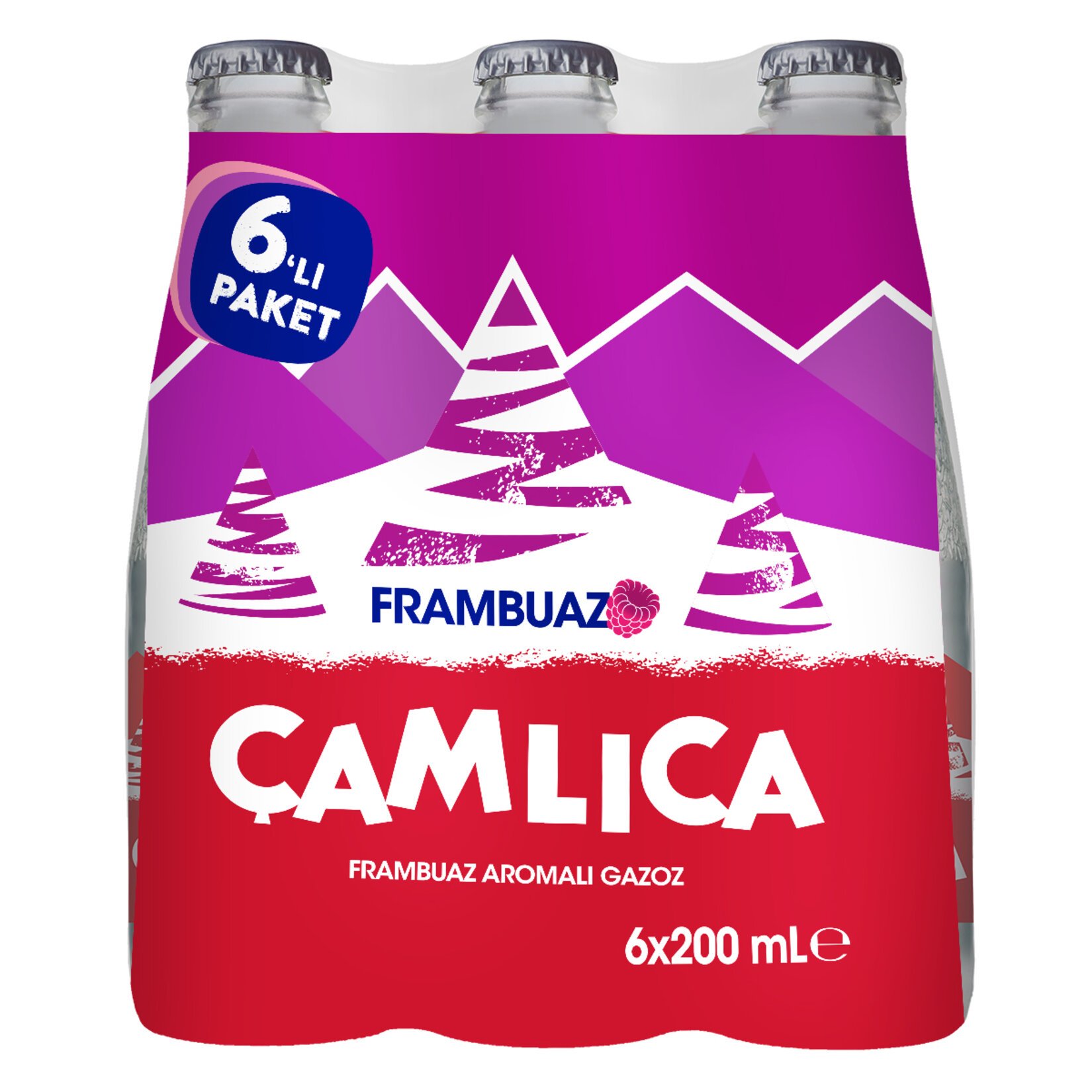 ÇAMLICA GAZOZ FRAMBUAZ AROMALI 200MLX24 – ABYSS | FMCG